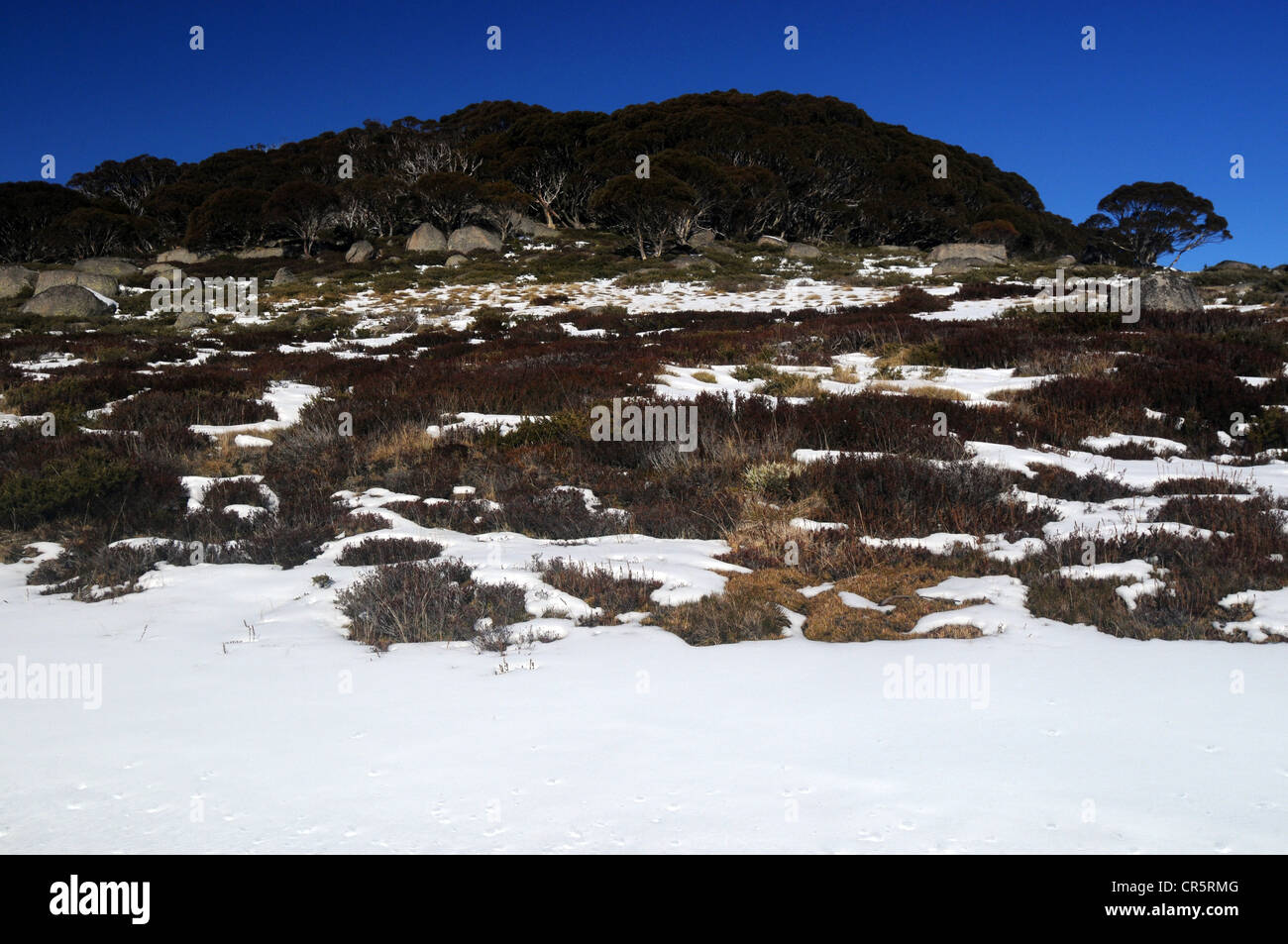 Snow Mountains Australia Alps Stock Photos & Snow Mountains Australia ...