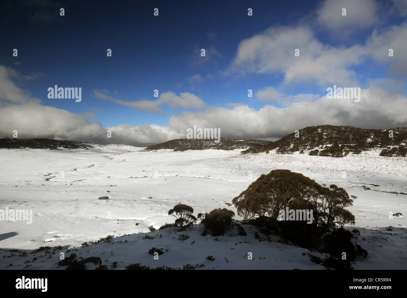 Australian snowfields hi-res stock photography and images - Alamy