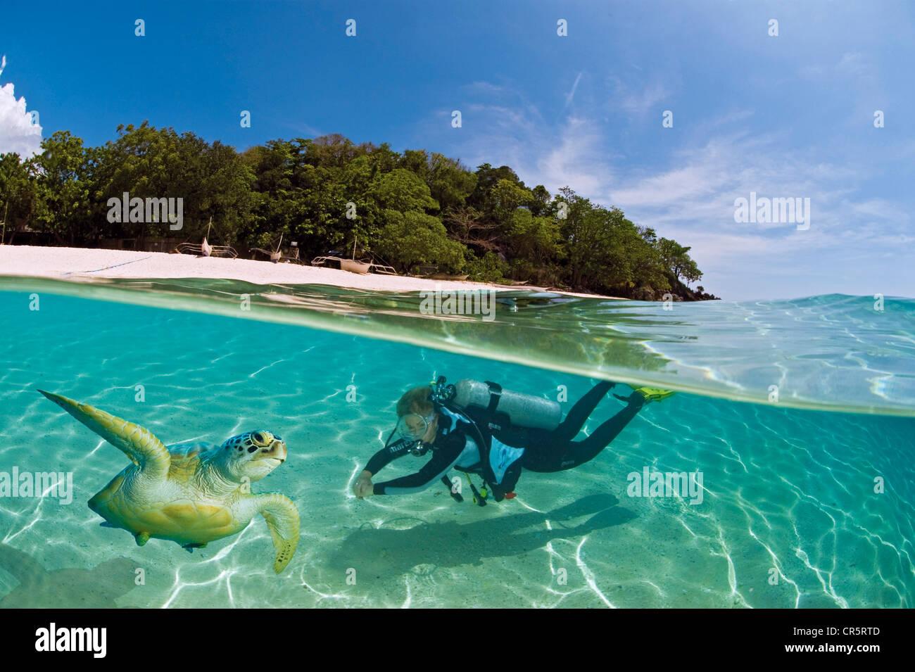 Female diver with a turtle in the shallow waters off an island, Dimakya ...