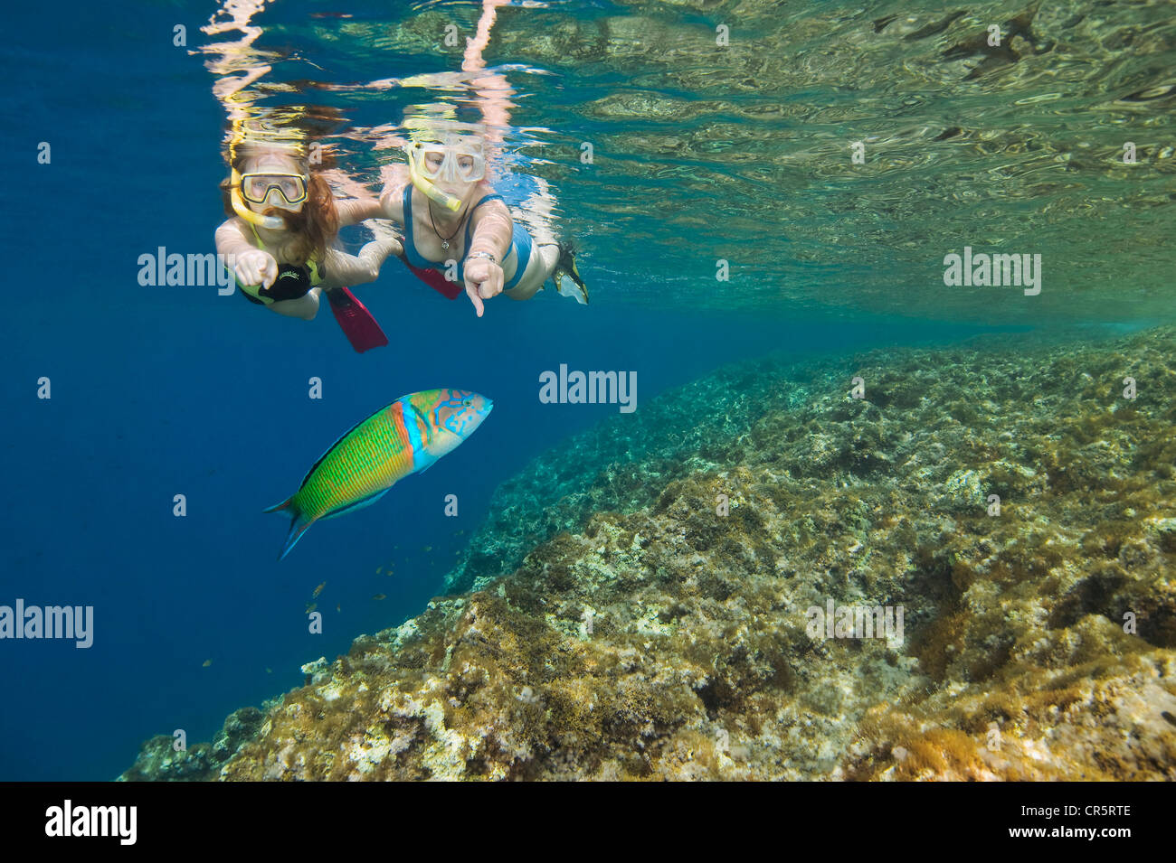 Mother and daughter snorkeling on a coral reef in the Mediterranean ...