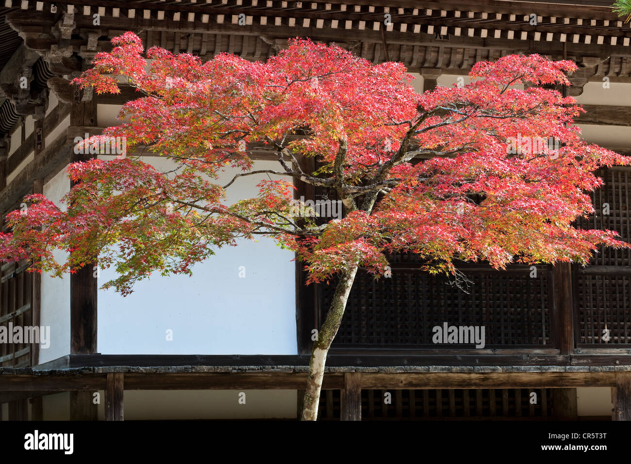 Jingo temple hi-res stock photography and images - Alamy