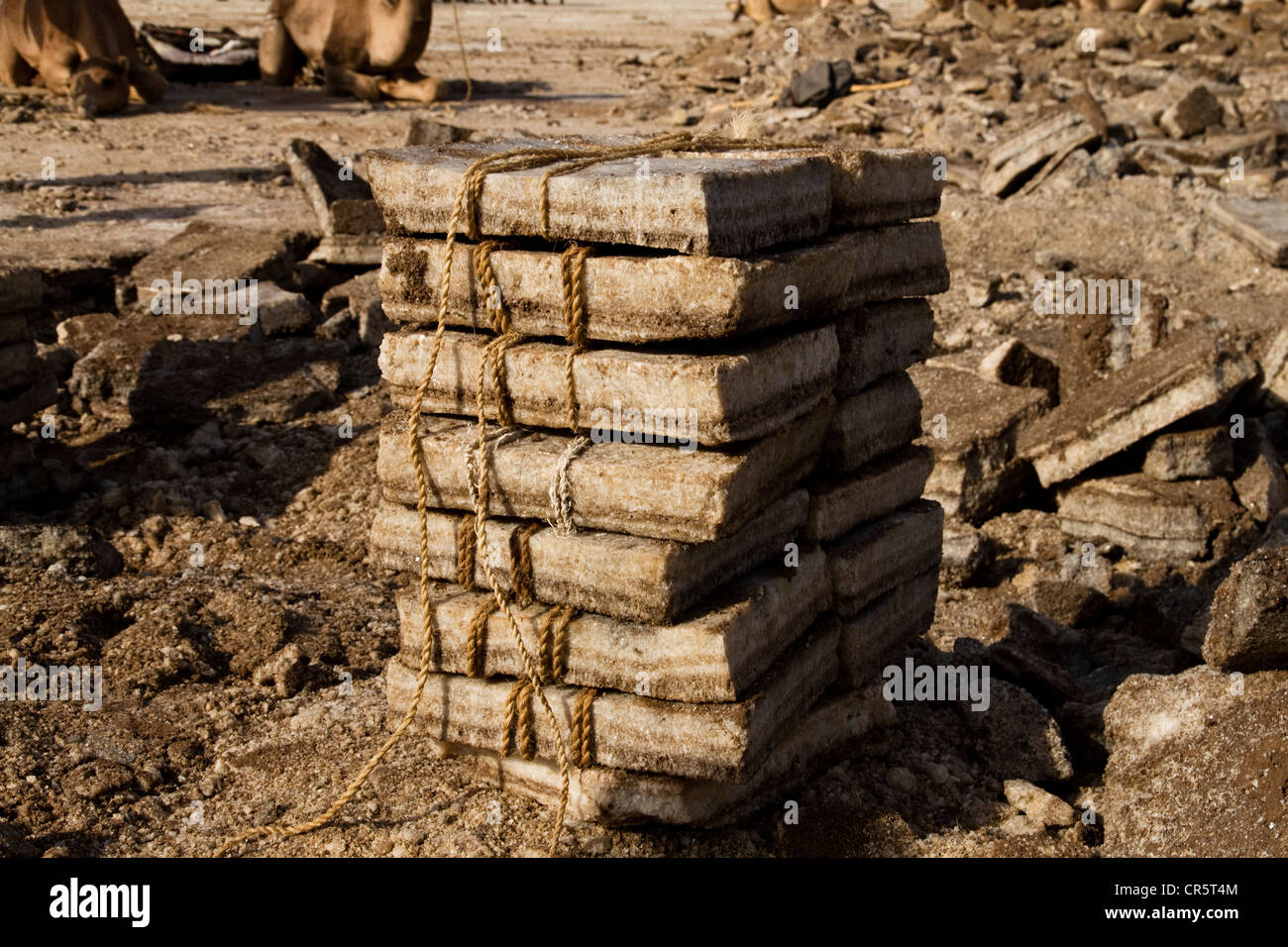 Salt blocks ready for transport in the salt mines of Dallol, Danakil ...