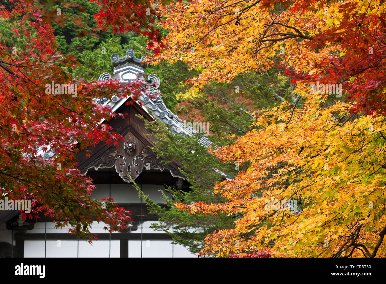 Rinzai school hi-res stock photography and images - Alamy