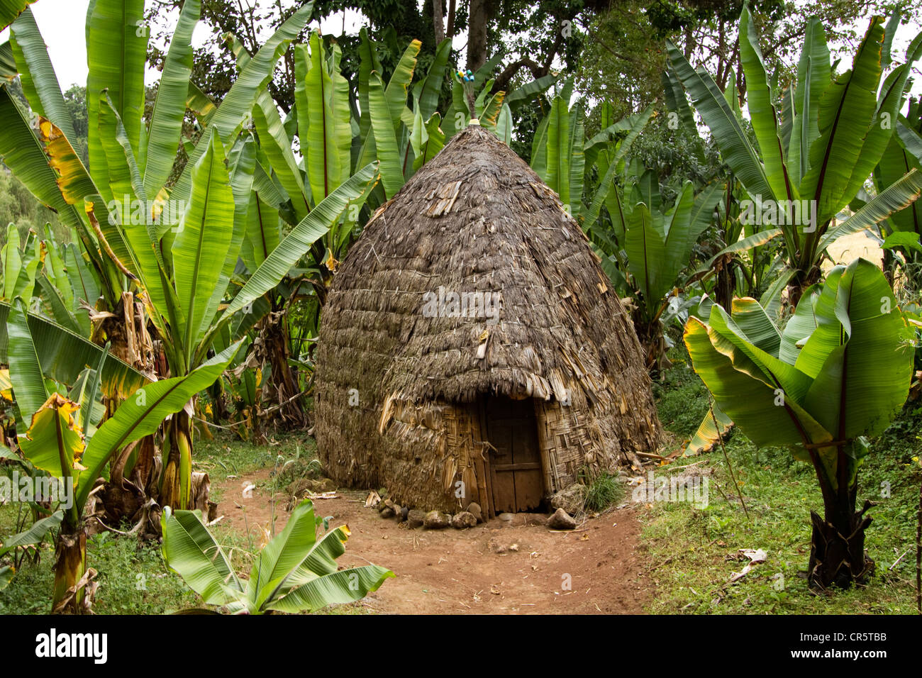 Beehive-shaped hut, Dorze village, near Arba Minch, Omo Valley, South ...
