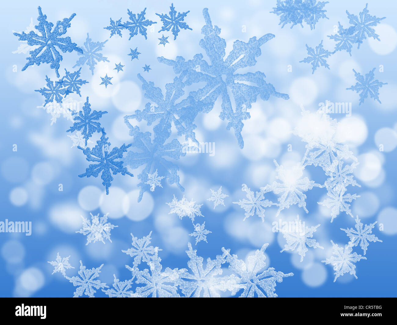 Light Blue Snowflake Background