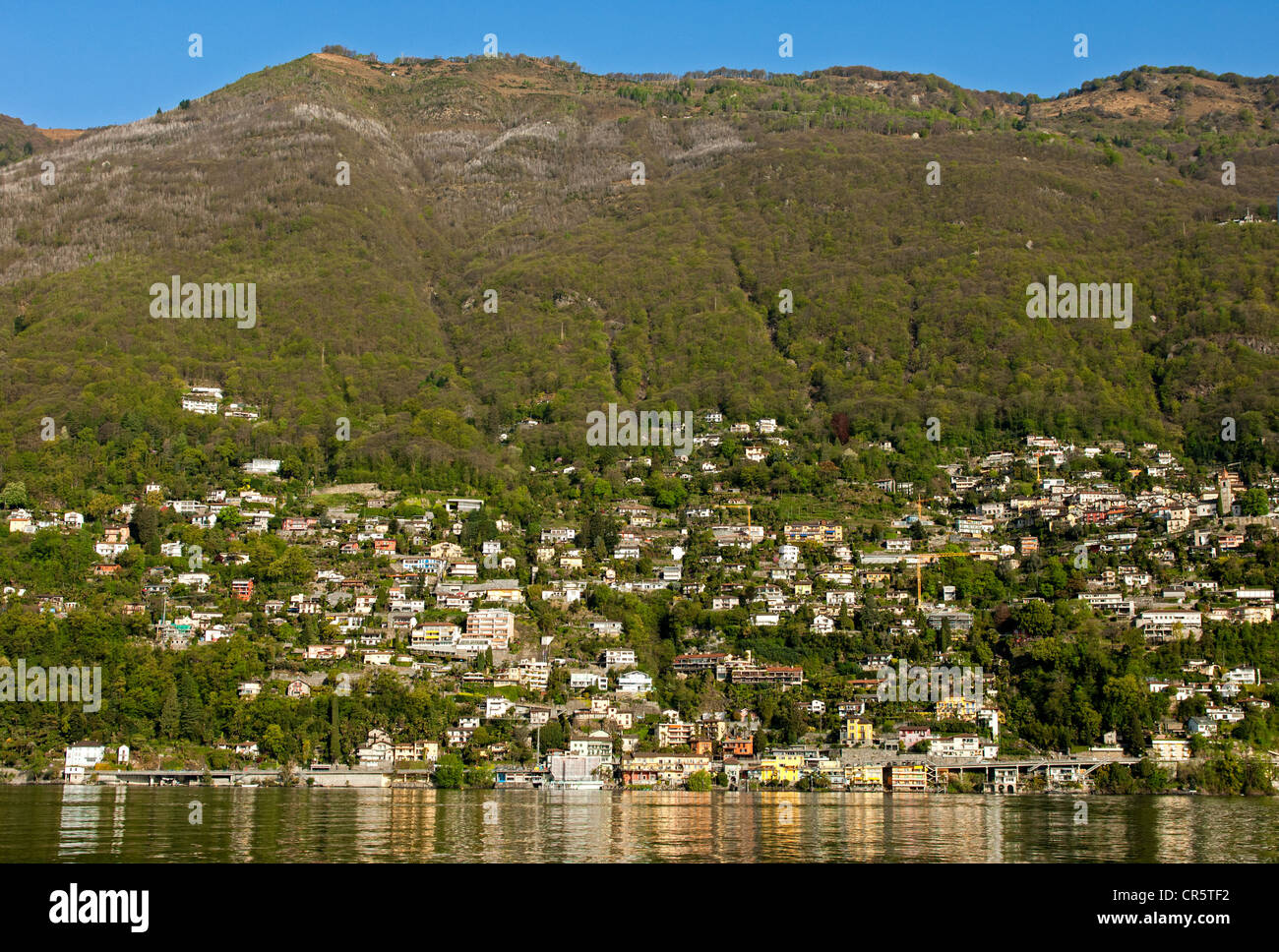 Village of Ronco sopra Ascona on a steep mountainside above Lake ...