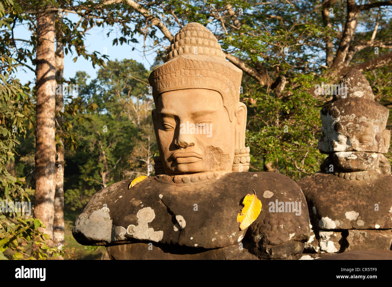 Almond shaped eyes hi-res stock photography and images - Alamy