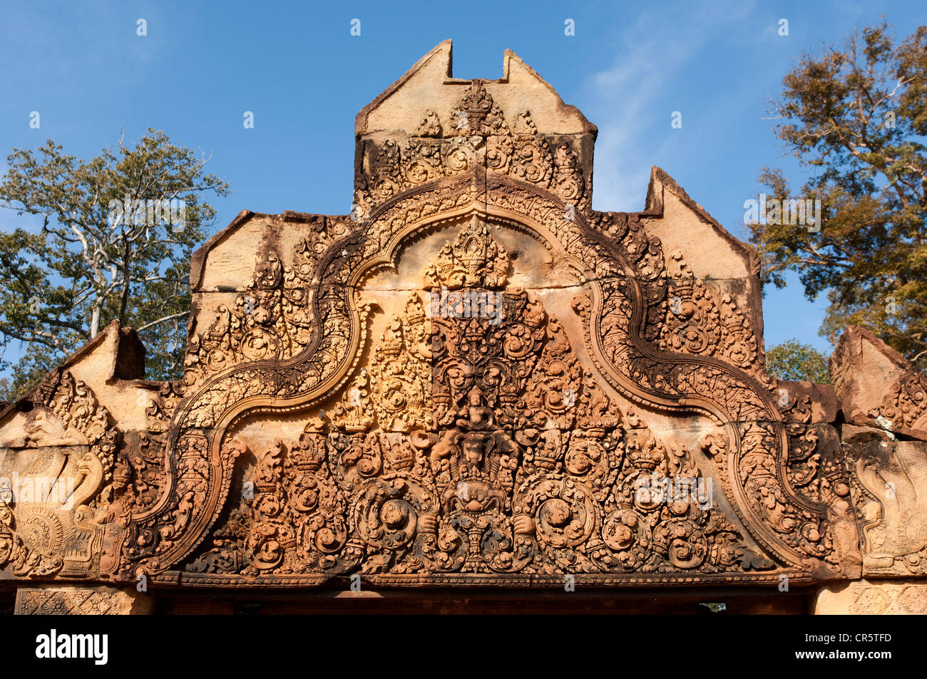 Very fine relief hi-res stock photography and images - Alamy