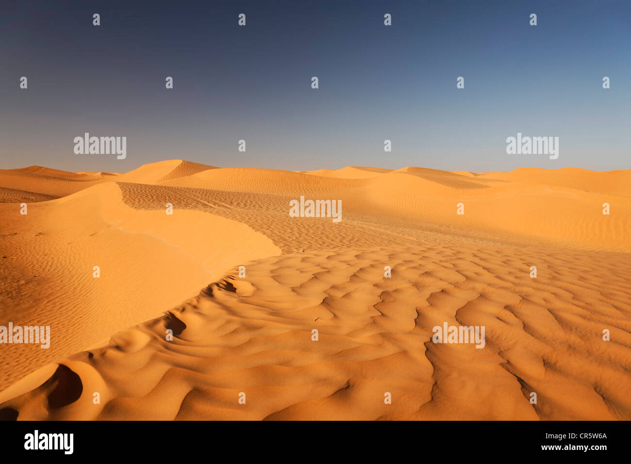 Desert landscape in the Sahara near Ksar Ghilane, Tunisia, Maghreb ...