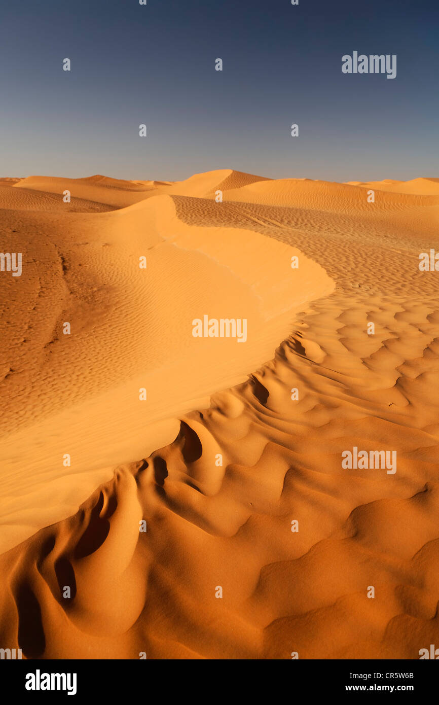 Desert landscape in the Sahara near Ksar Ghilane, Tunisia, Maghreb ...