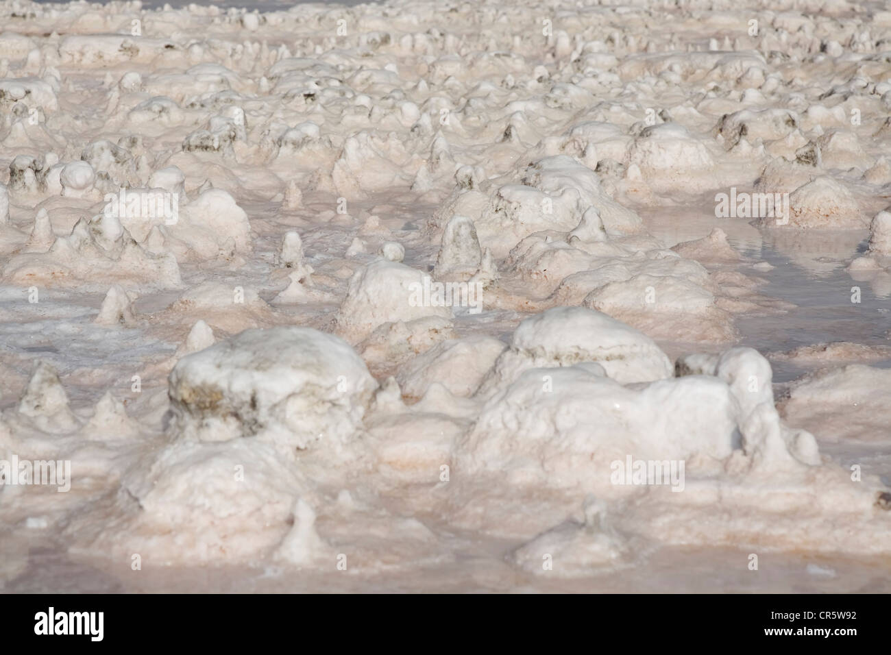 Sebkhet el Melah salt lake near the Zarzis oasis, Tunisia, Maghreb ...