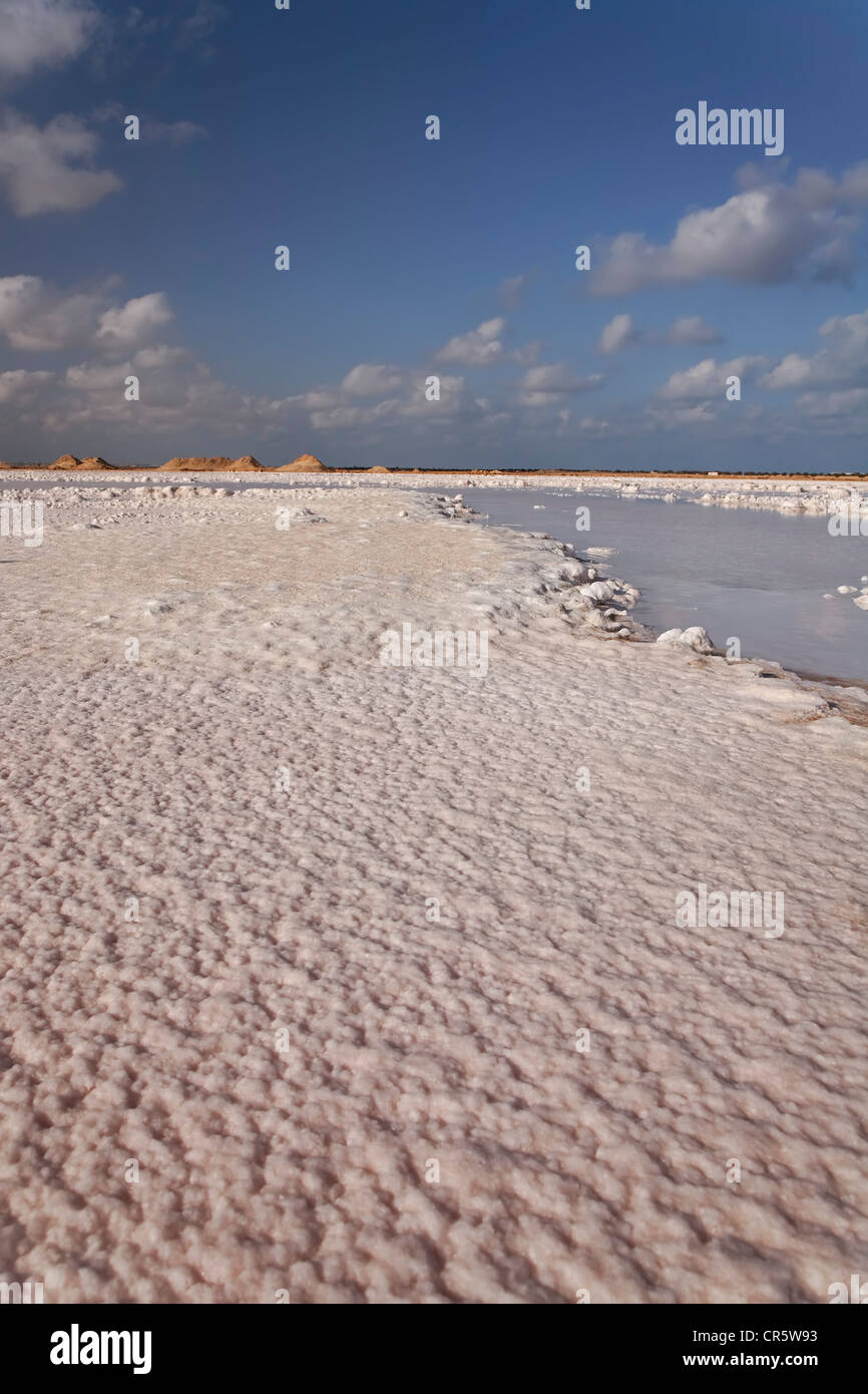 Sebkhet el Melah salt lake near the Zarzis oasis, Tunisia, Maghreb ...