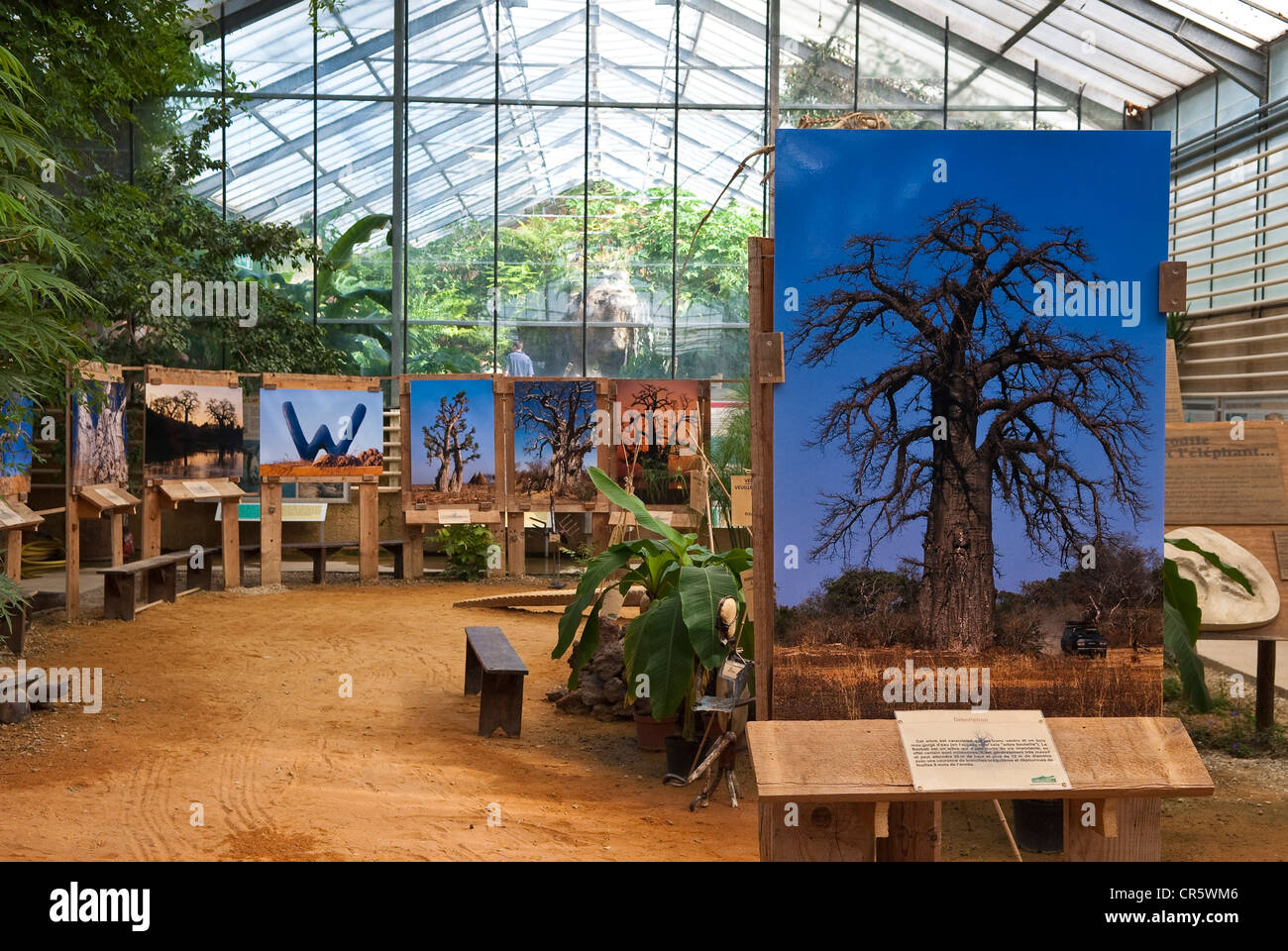France, Drome, Drome provencale, Pierrelatte, La Ferme aux crocodiles ...