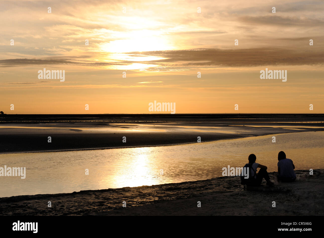 France, Manche, Bay of Mont Saint Michel, intertidal zone of Couesnon ...
