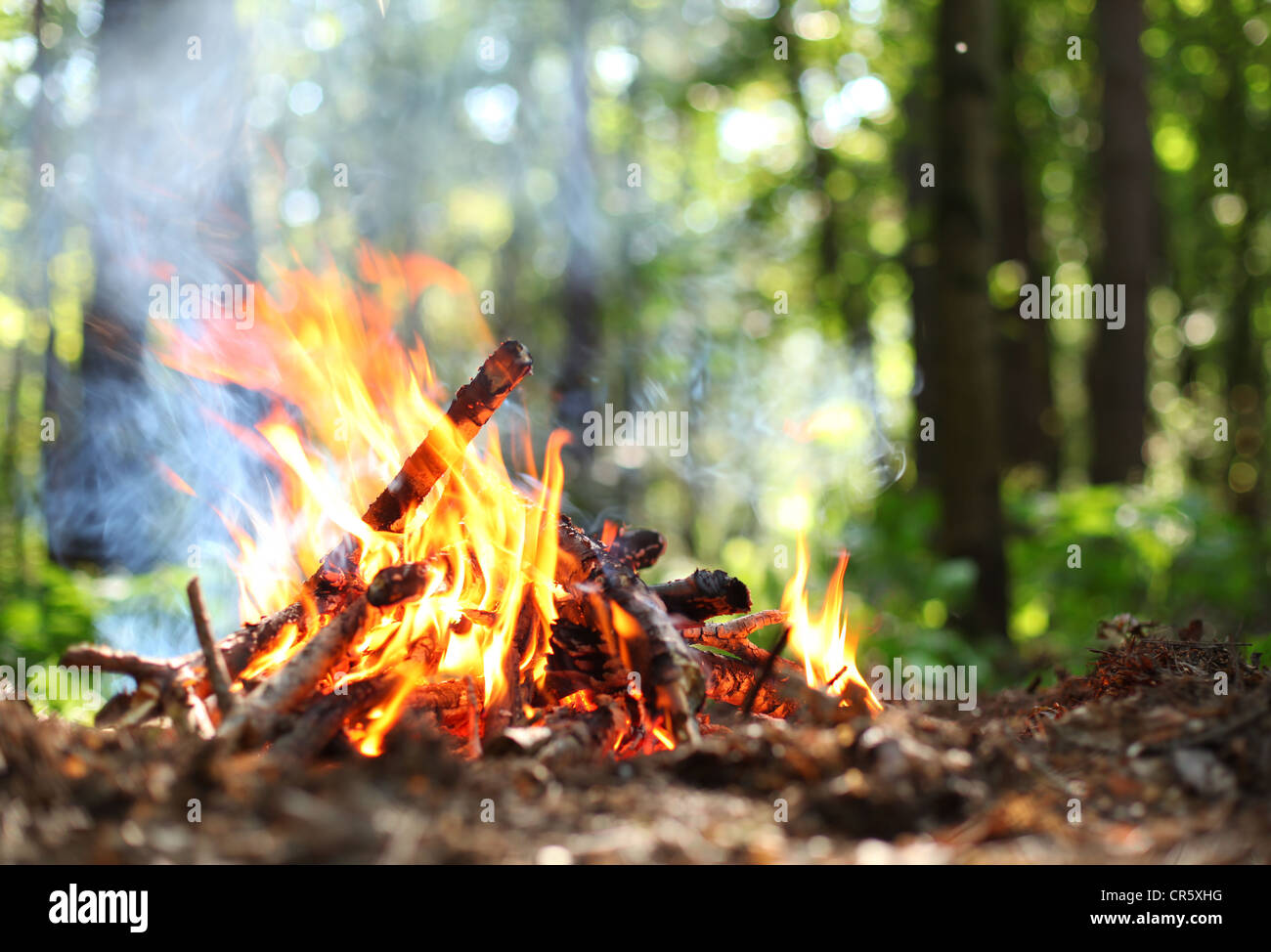 Bonfire in the forest Stock Photo - Alamy