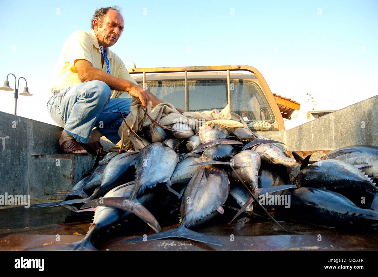 Paphos seafront promenade hi-res stock photography and images - Alamy