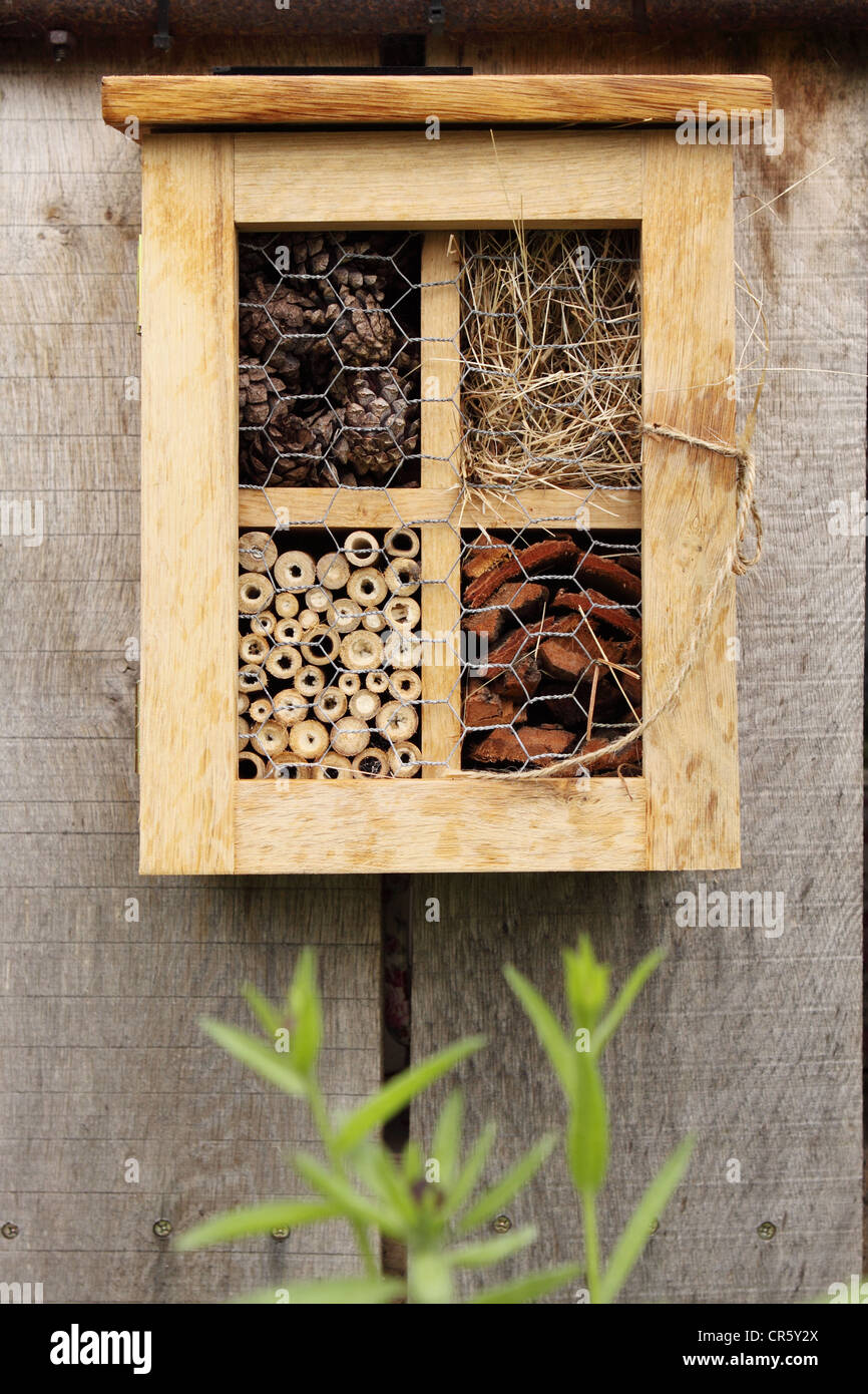 Garden insect bug box with a variety of nesting materials cones hay bamboo bark Stock Photo - Alamy