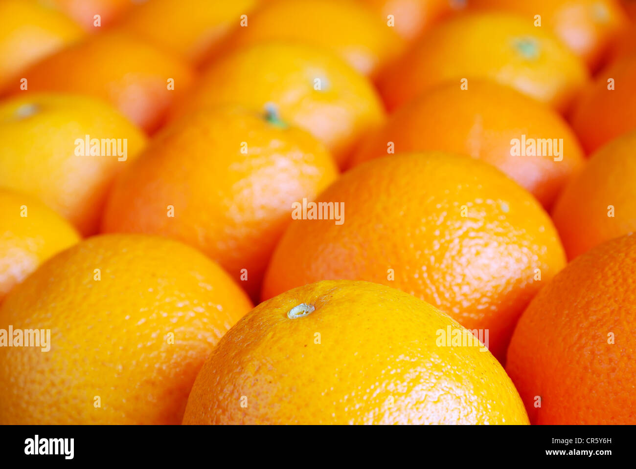 Oranges vector hi-res stock photography and images - Alamy