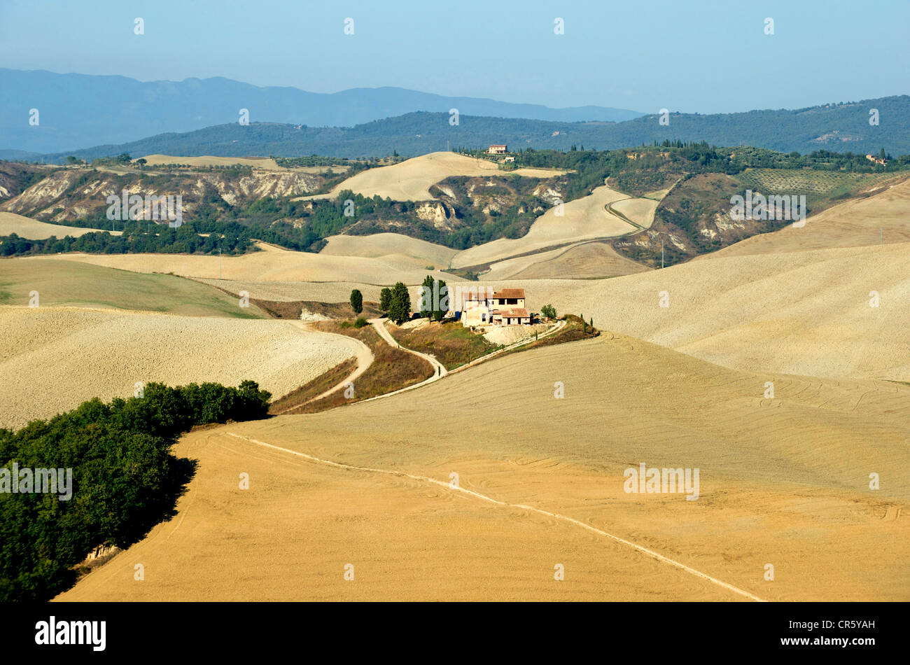 Italy, Tuscany, Sienna countryside, landscape with ridges Stock Photo ...
