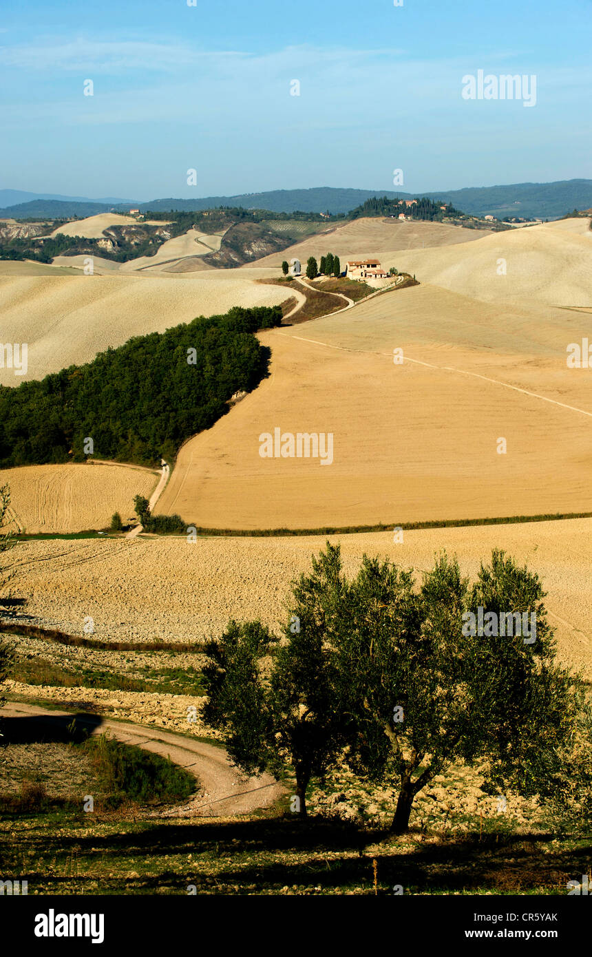 Italy, Tuscany, Sienna countryside, landscape with ridges Stock Photo ...
