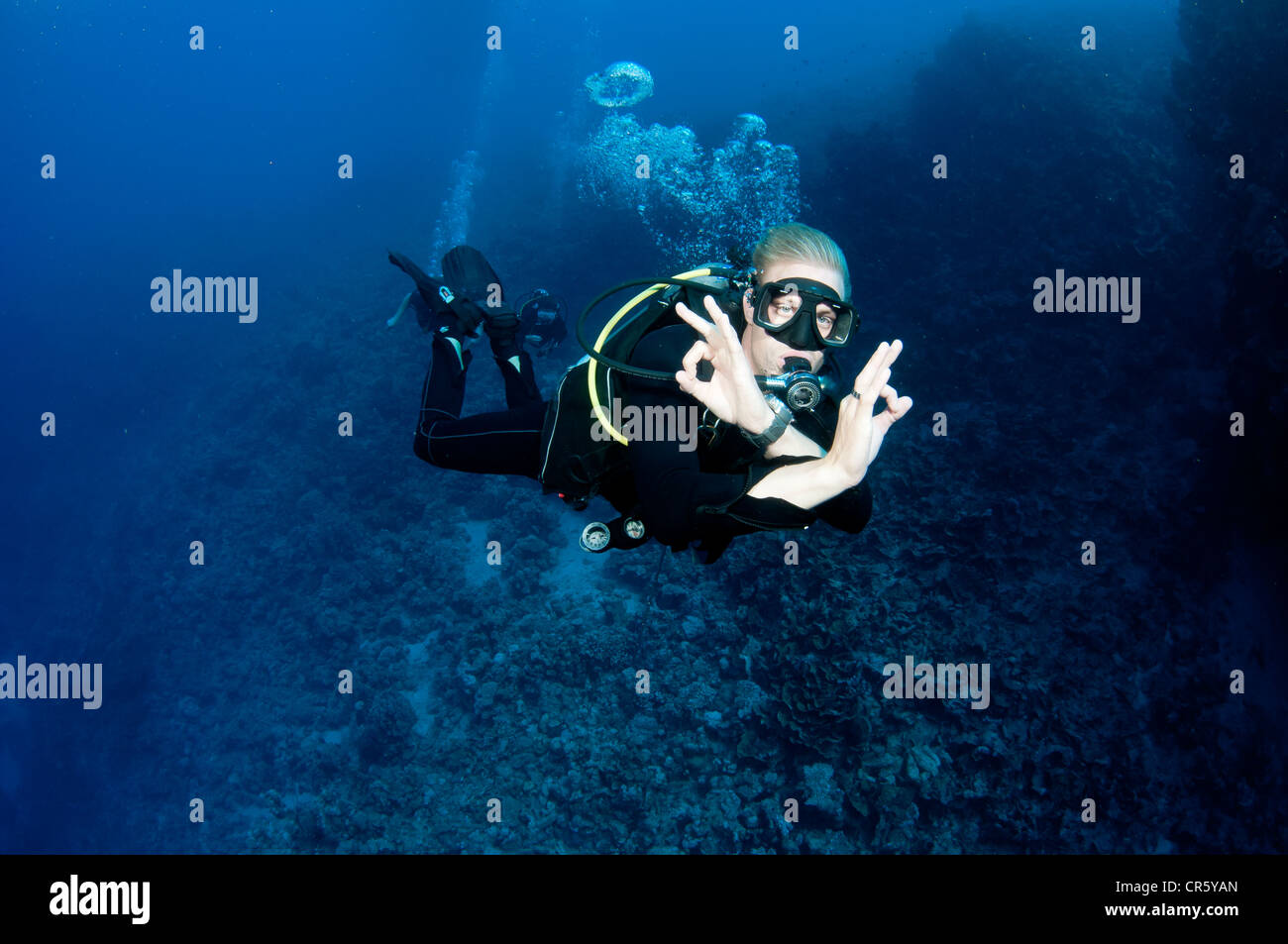 male scuba diver swims in clear blue water and makes the OK sign Stock ...