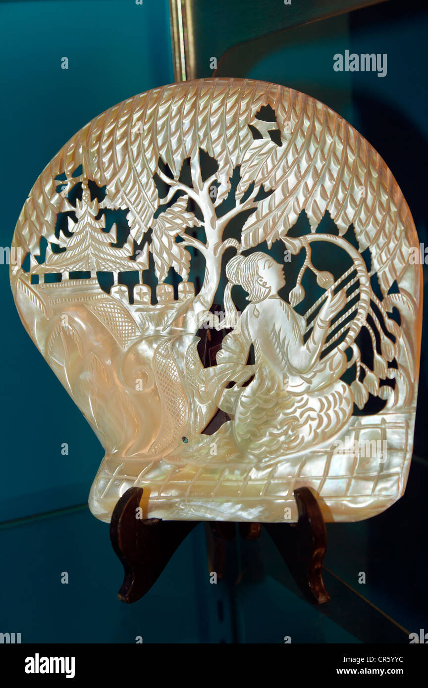 Shell collection display hi-res stock photography and images - Alamy