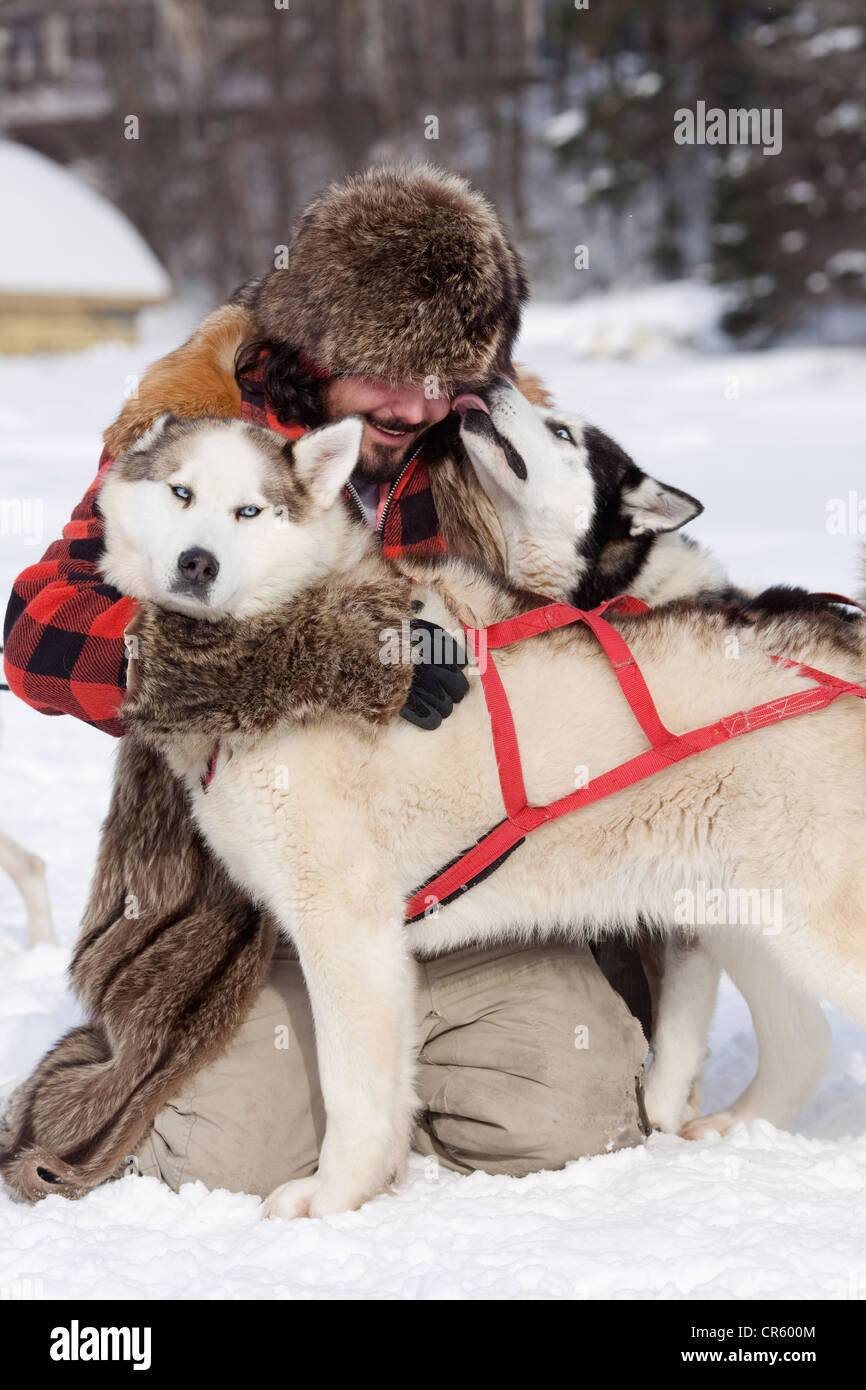 Canada, Quebec Province, Quebec City, musher (sled driver) and his ...