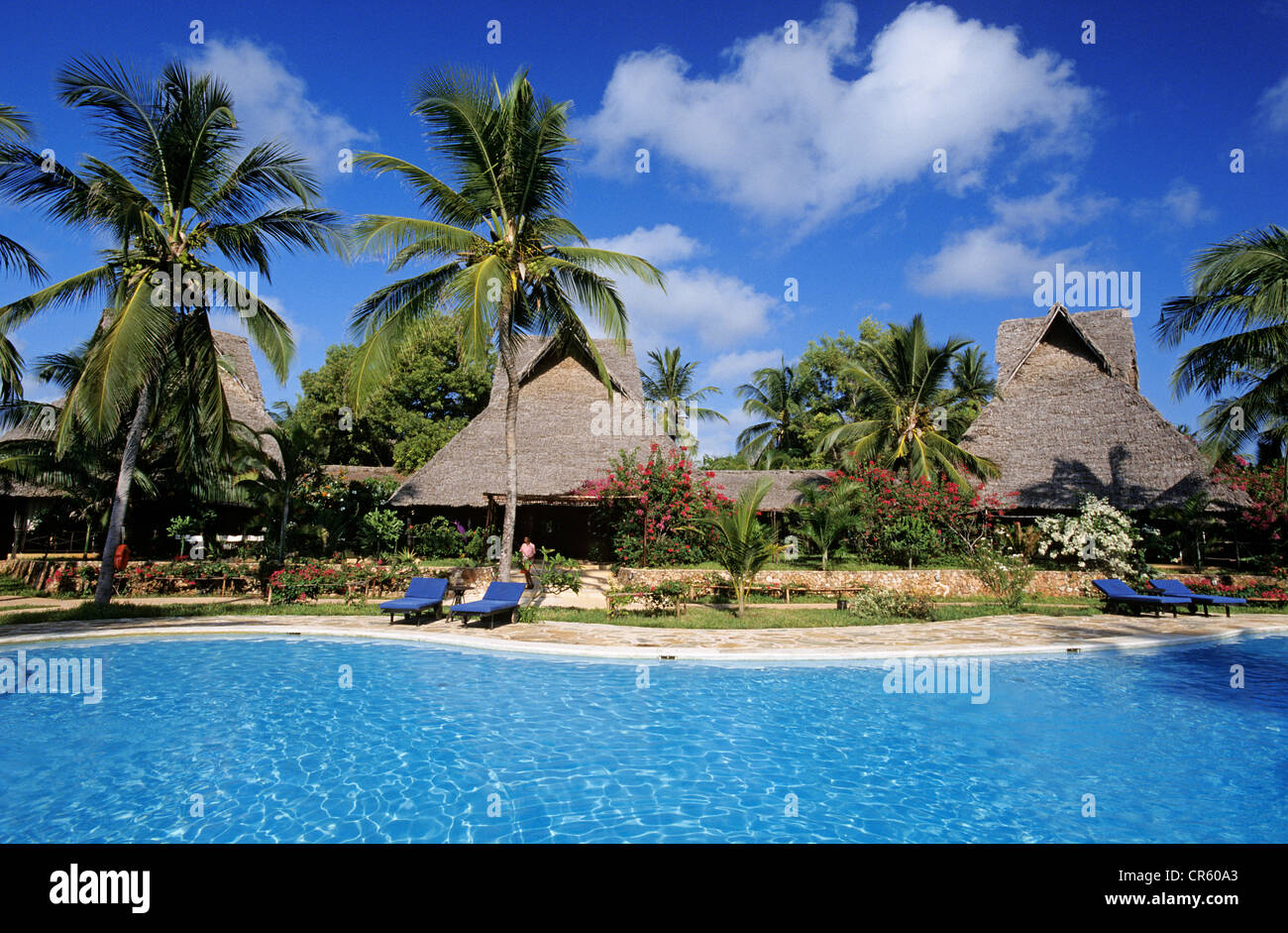 Tanzania, Zanzibar Archipelago, South East Coast, Pingwe-Bwejuu Beach ...