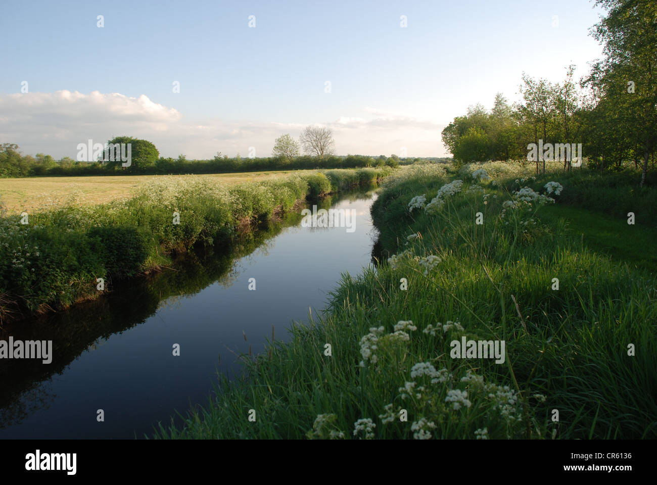 The Six Mile river in County Antrim on a summer evening. Picture by ...