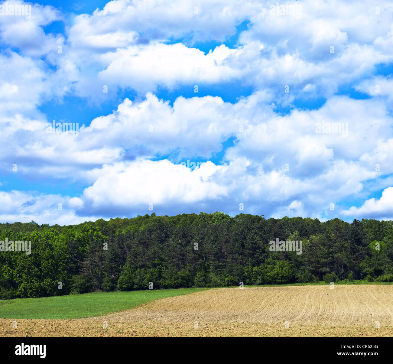Natural landscape with green forest and blue sky Stock Photo - Alamy
