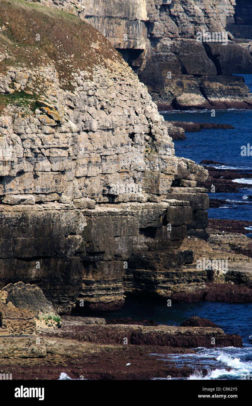 Seacombe cliff dorset hi-res stock photography and images - Alamy
