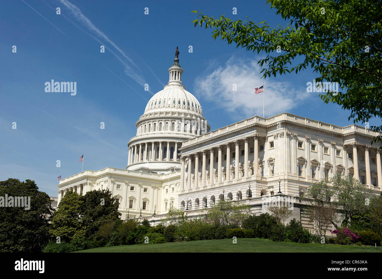 United States, Washington DC, The Mall, the Capitol Stock Photo - Alamy