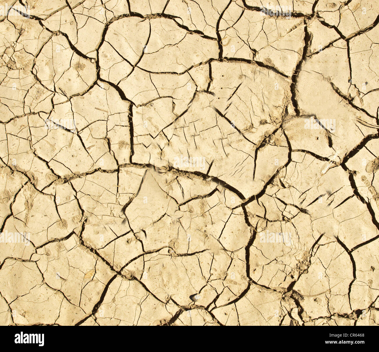 Cracked ground background Stock Photo - Alamy