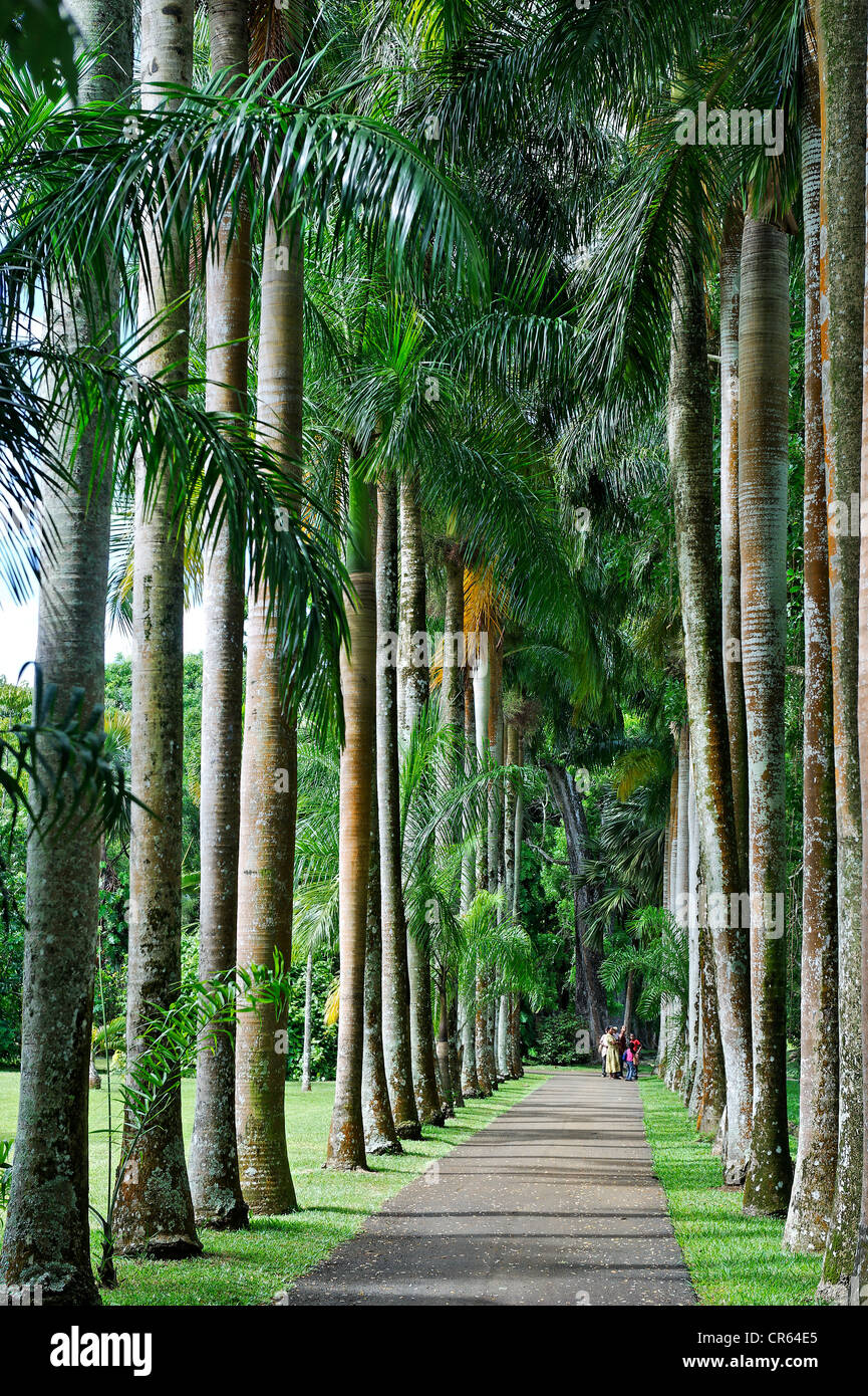 Mauritius, Pamplemousses District, Pamplemousses, Botanical Garden ...