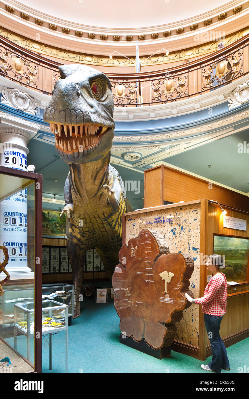 South Africa Kwazulu Natal Province Durban City Hall Natural Science ...