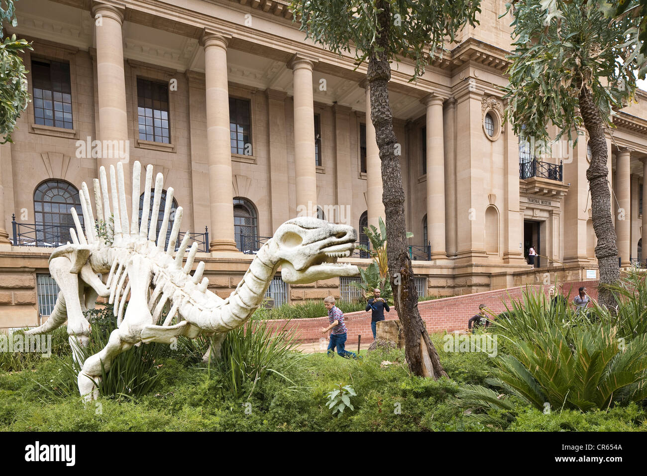 South Africa, Gauteng Province, Pretoria, Transvaal Museum of Natural ...