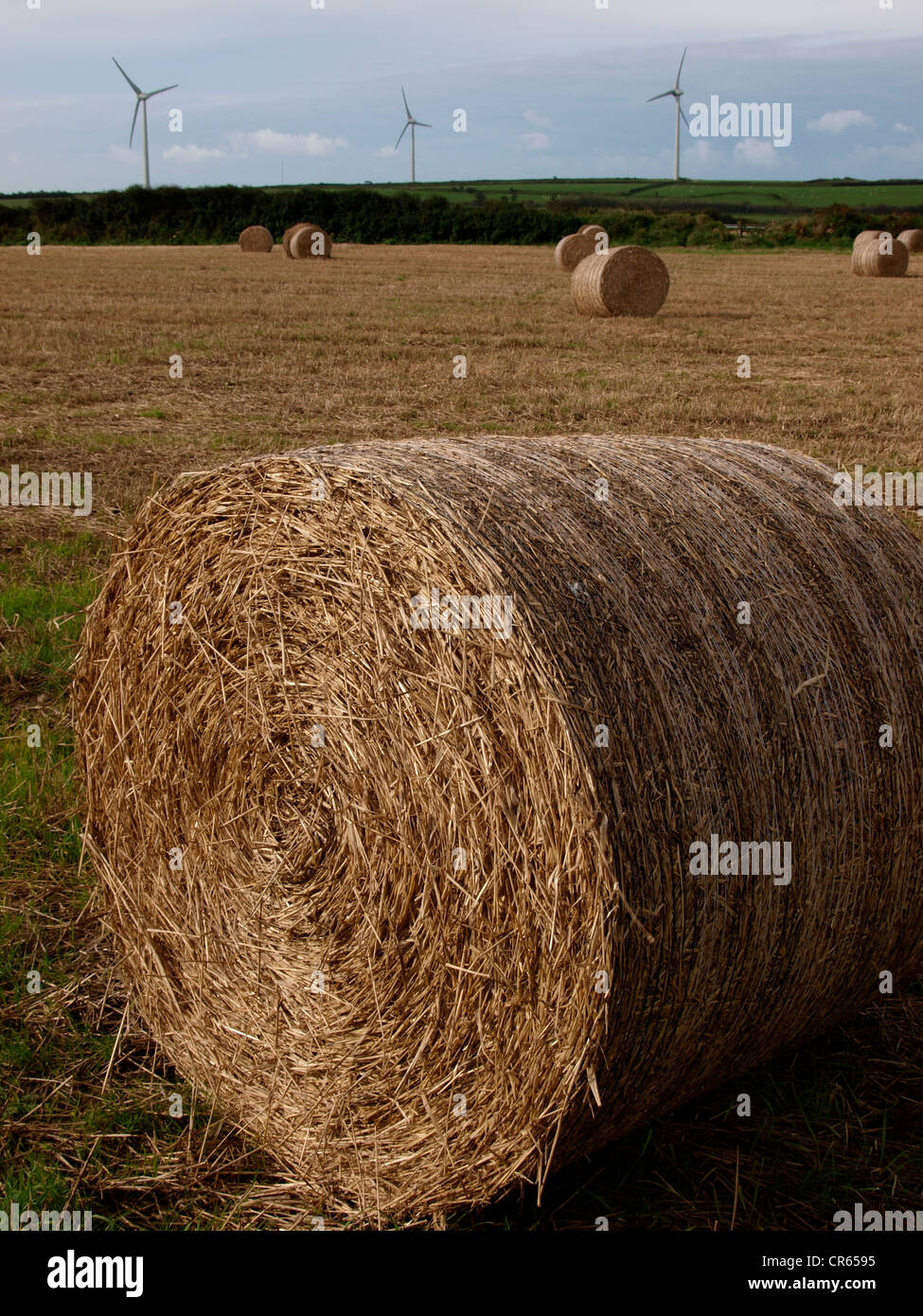 Round hay bales and wind turbines, Cornwall, UK Stock Photo - Alamy