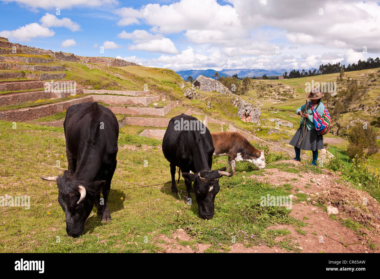 Peru, Cuzco Province, Incas sacred valley, Chinchero, Quechua peasant ...