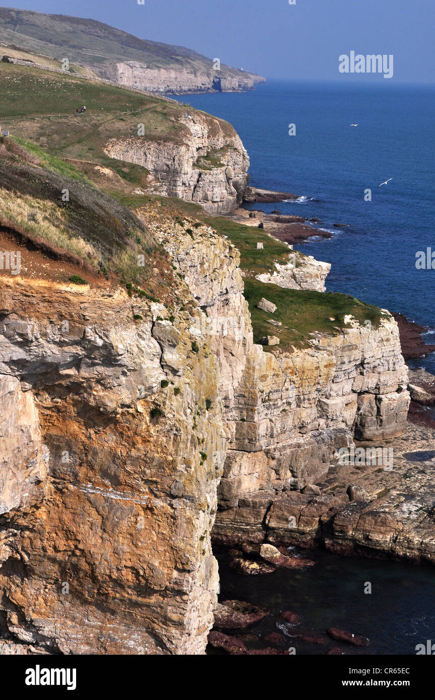 Seacombe cliff dorset hi-res stock photography and images - Alamy