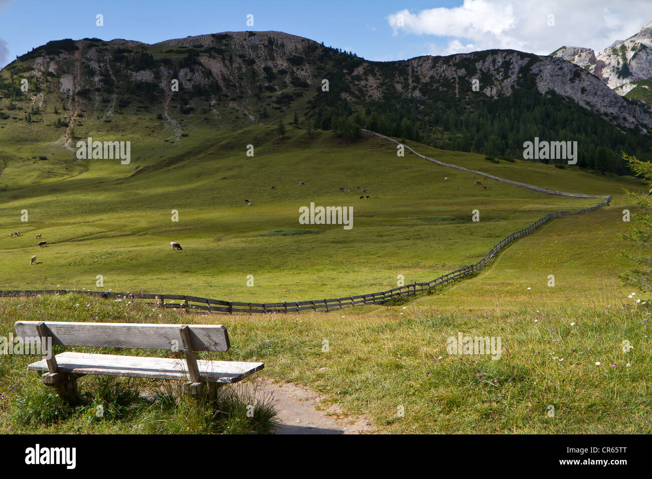 Plaetzwiese high plateau, Dolomites, Alto Adige, Italy, Europe Stock ...