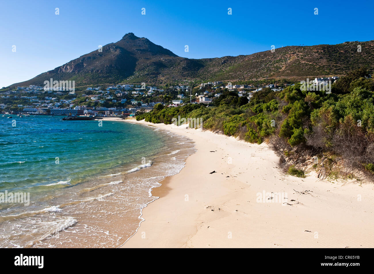 South Africa, Western Cape, Cape Peninsula, False Bay, Simon's Town ...