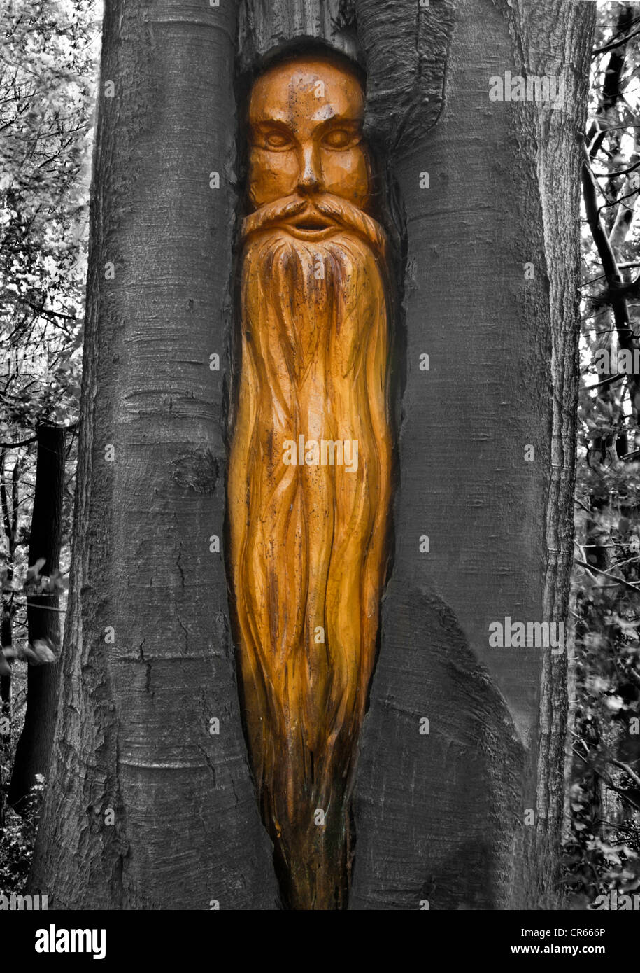 Green man tree carving hi-res stock photography and images - Alamy
