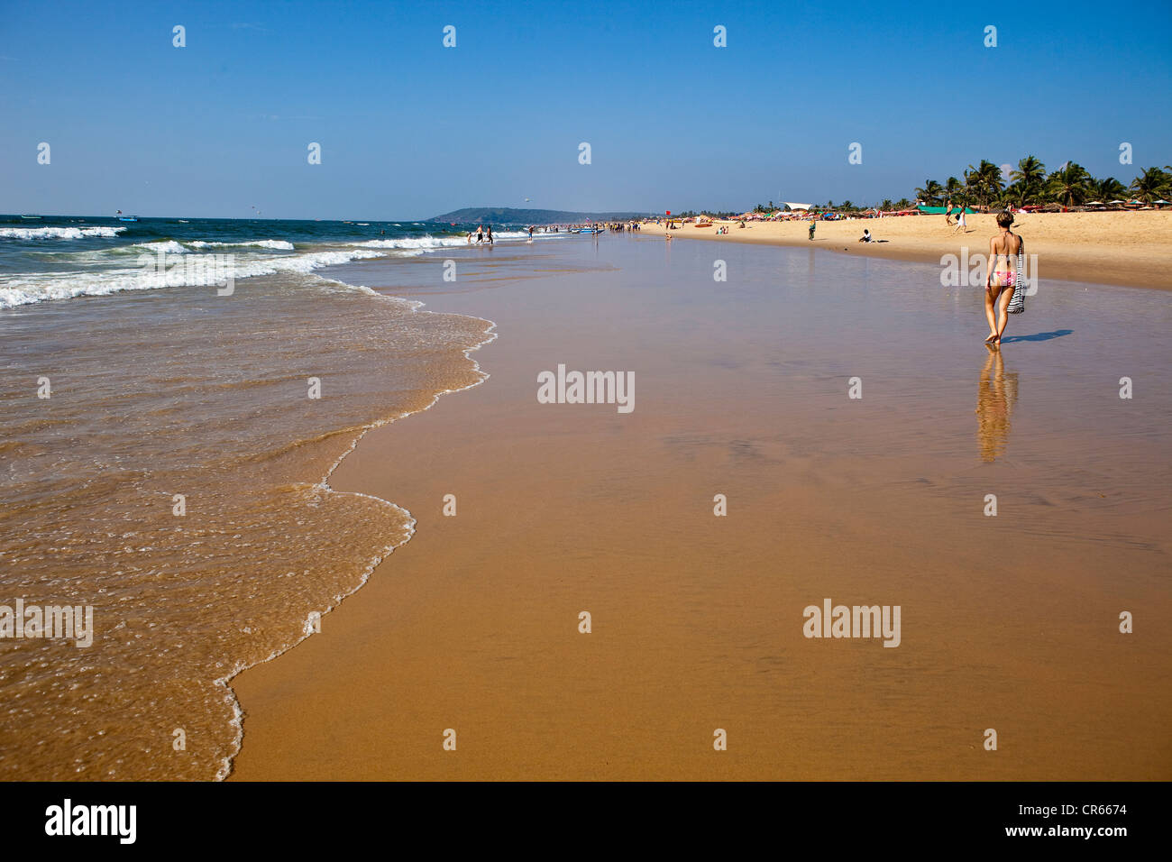 India, Goa State, Calangute, the beach Stock Photo - Alamy