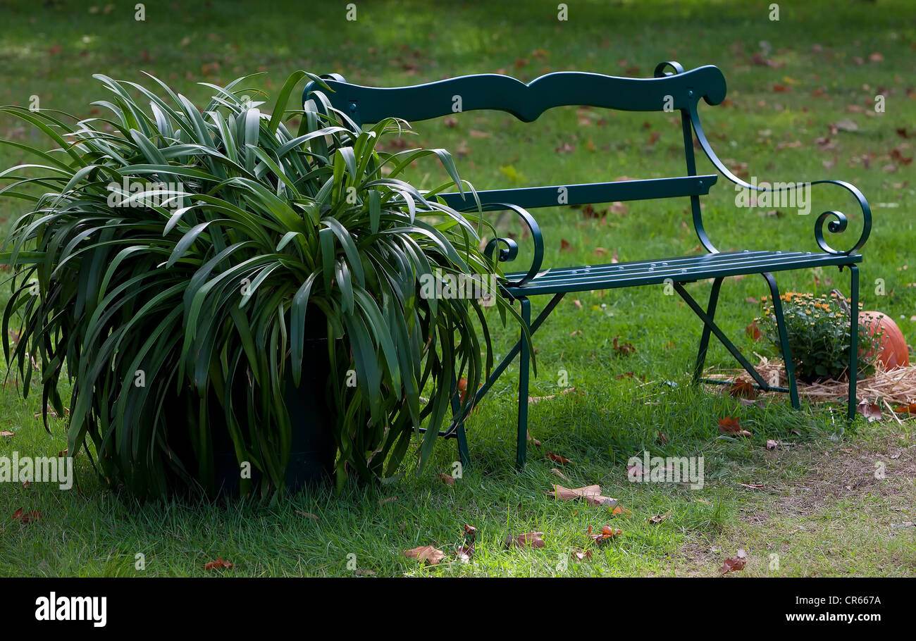 Green bench hi-res stock photography and images - Alamy