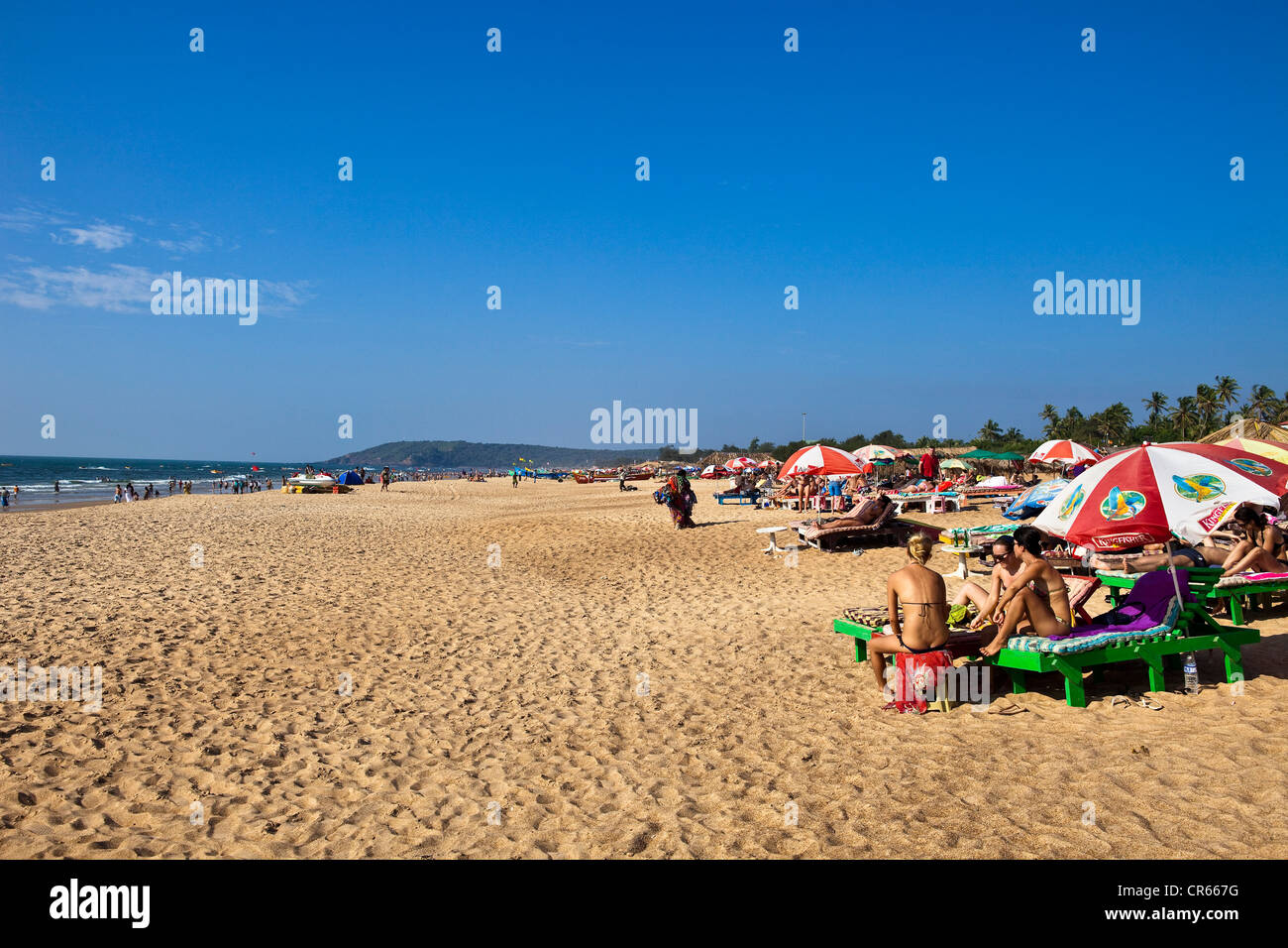 India, Goa State, Calangute, the beach Stock Photo - Alamy