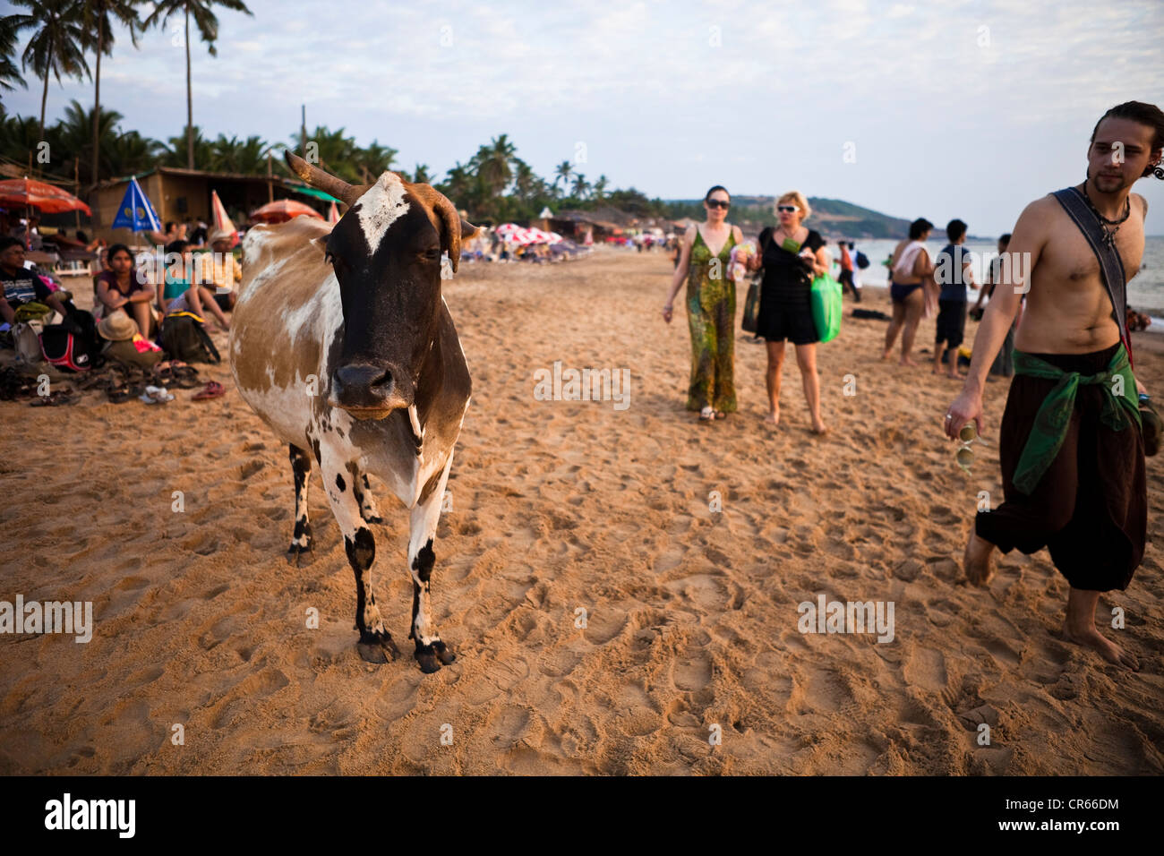 India, Goa State, Anjuna, the beach Stock Photo - Alamy