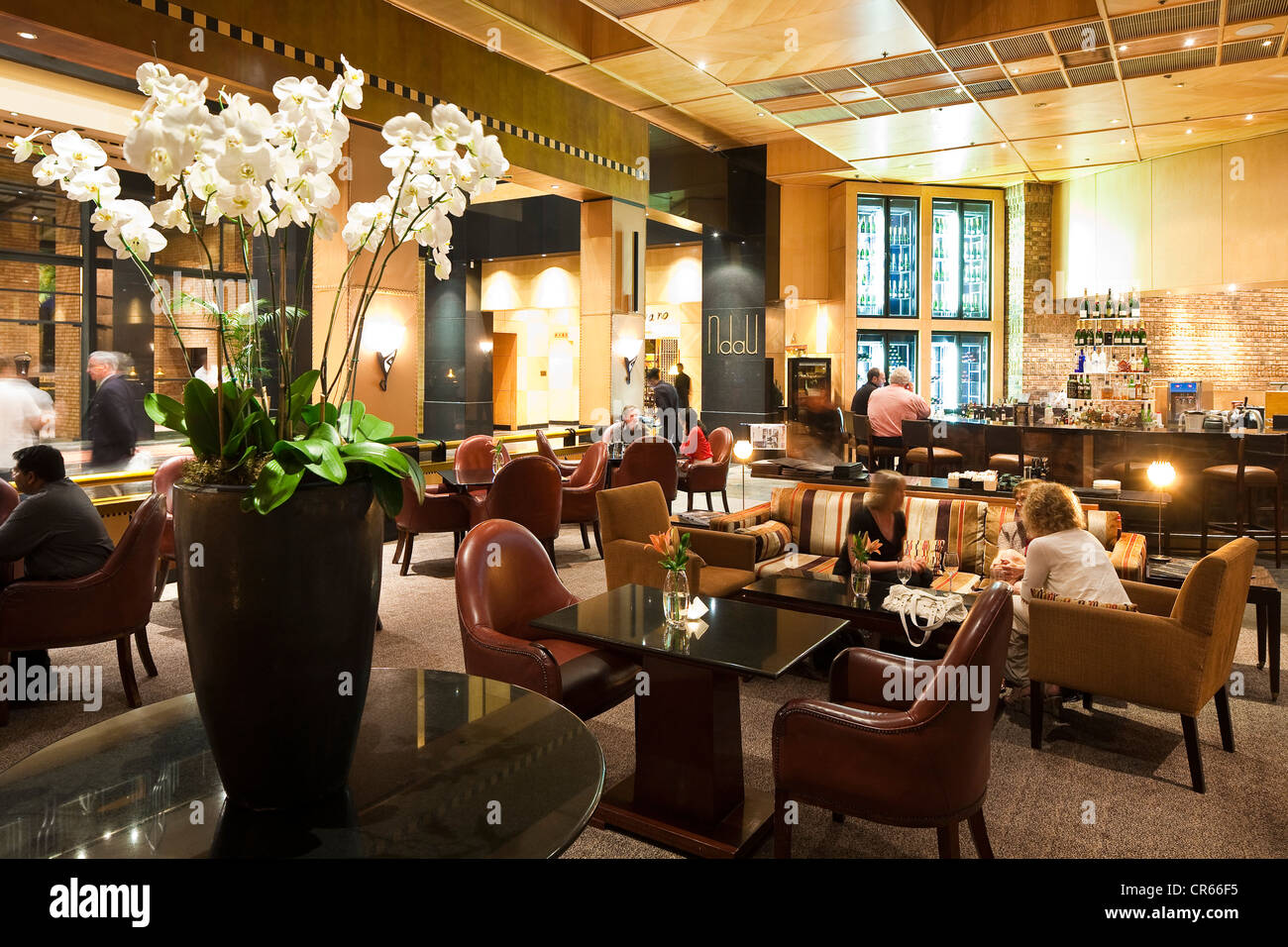 South Africa, Gauteng Province, Johannesburg, Hyatt Regency Hotel, bar ...