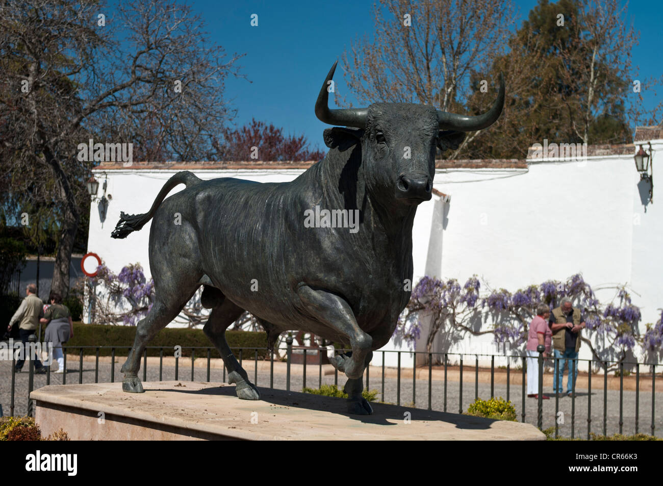 The Bull, Ronda Stock Photo - Alamy