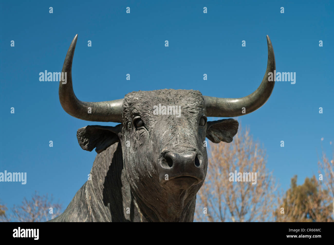 Bull head statue hi-res stock photography and images - Alamy