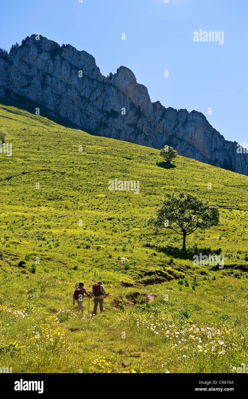 France, Isere, Parc Naturel Regional de la Chartreuse (Chartreuse ...